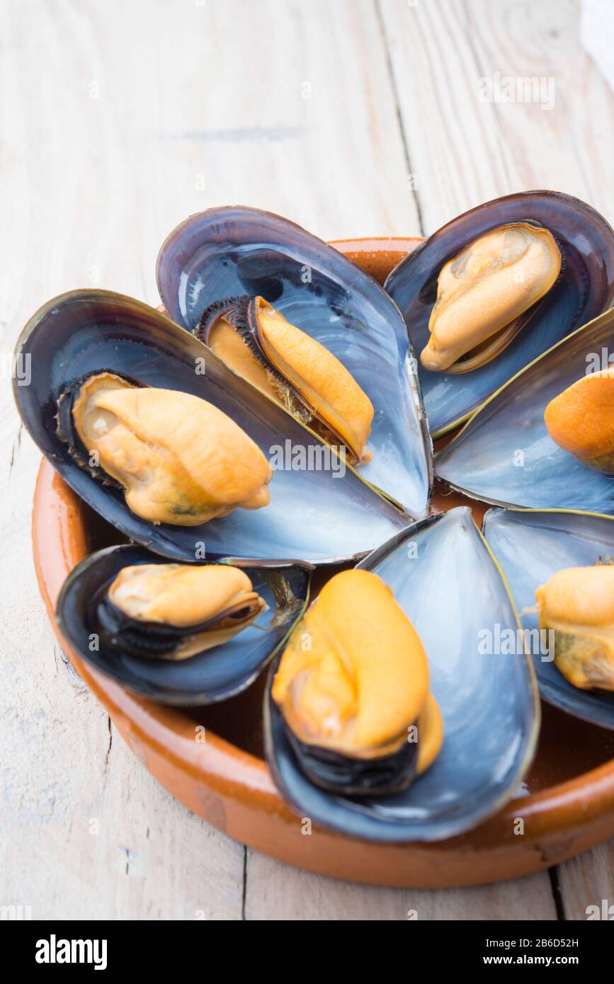 Mussel pic hi-res stock photography and images - Alamy