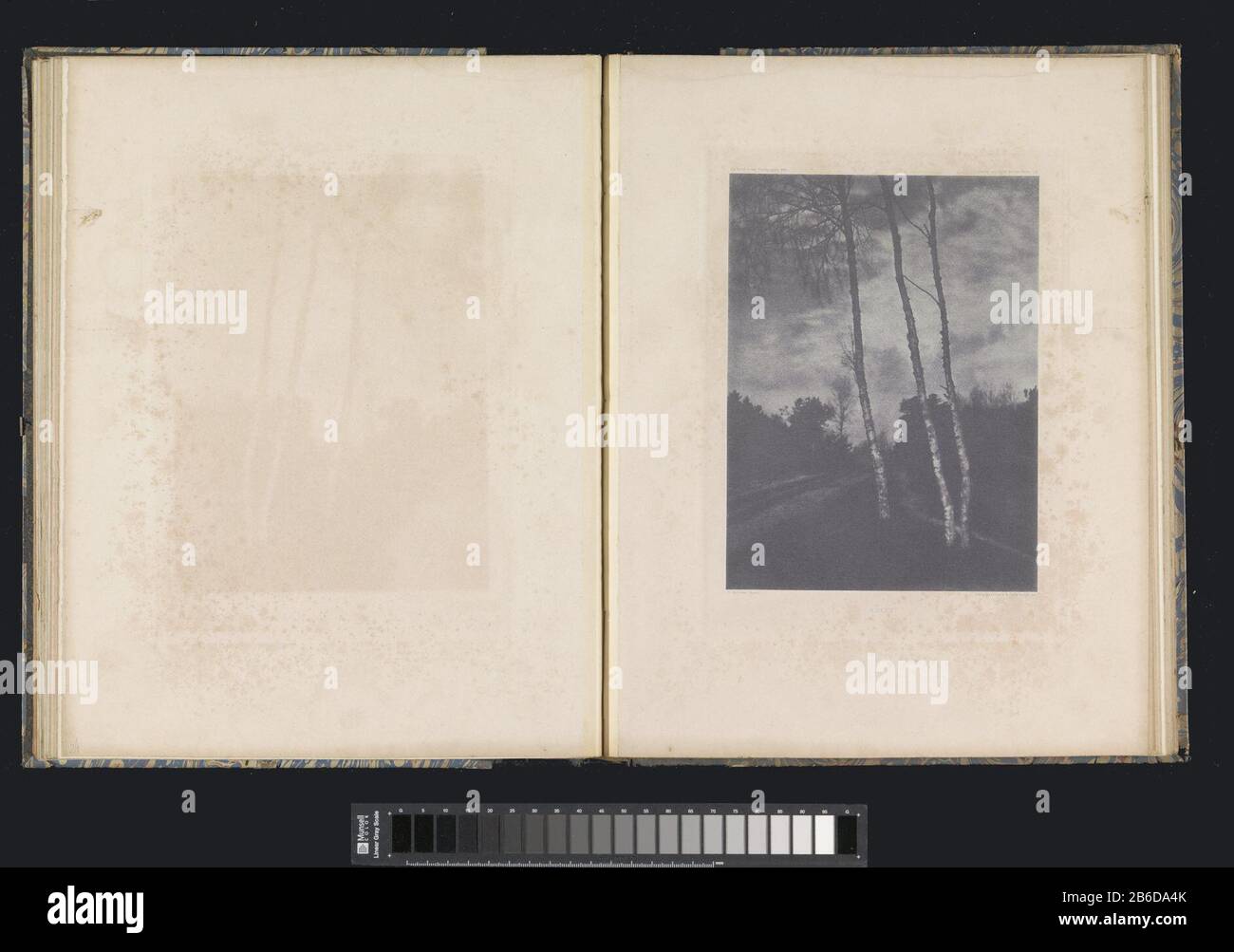 Julius becker hi-res stock photography and images - Alamy