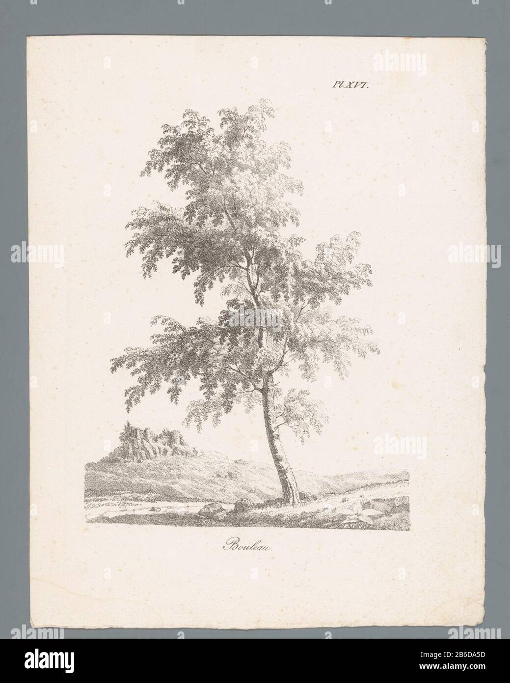 J w w birch hi-res stock photography and images - Alamy