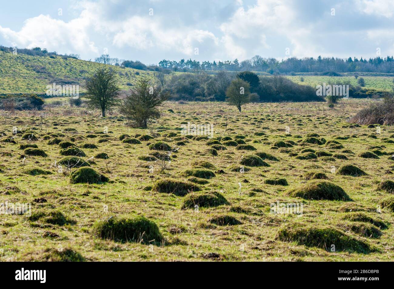 Earth mounds hi-res stock photography and images - Alamy