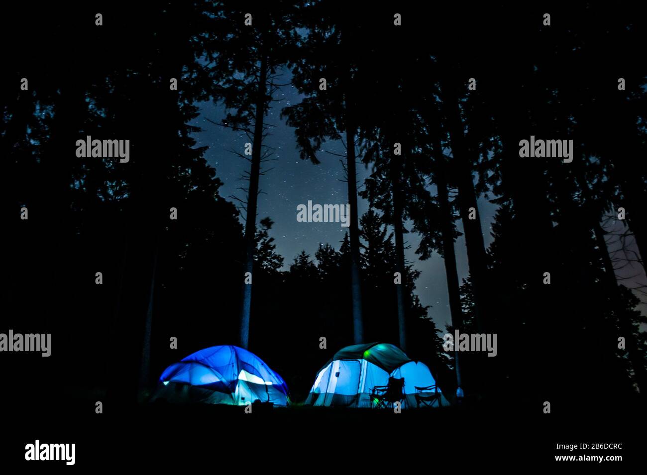 Camping in the forest Stock Photo - Alamy