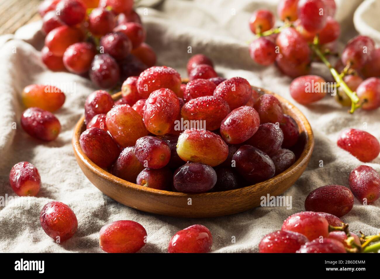 Healthy Grapevine High Resolution Stock Photography and Images - Alamy