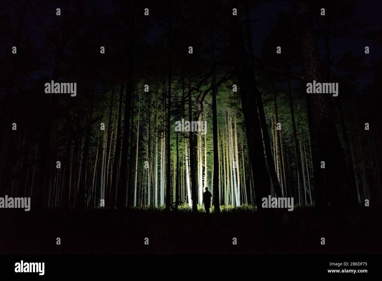 Man standing outdoor at dark night shining with flashlight. Mystical ...