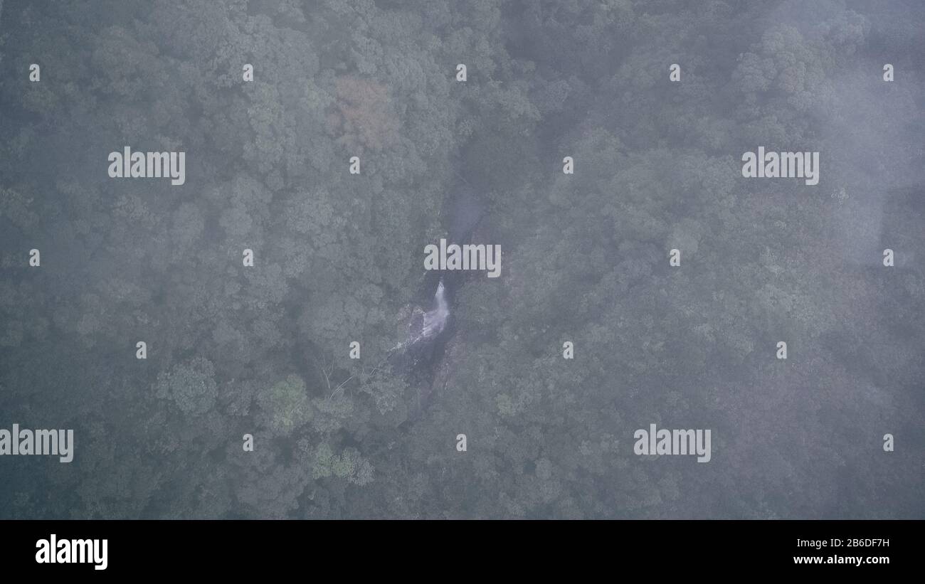 tropical rain forest with fog, view from sky Stock Photo - Alamy