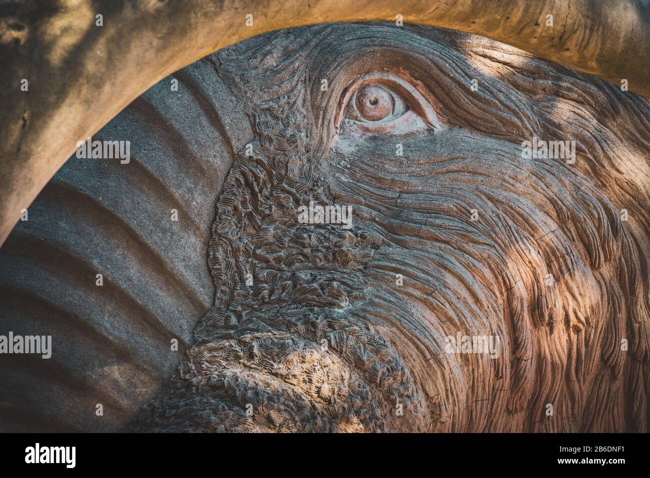 Face detail of a mammoth statue under the afternoon light Stock Photo ...