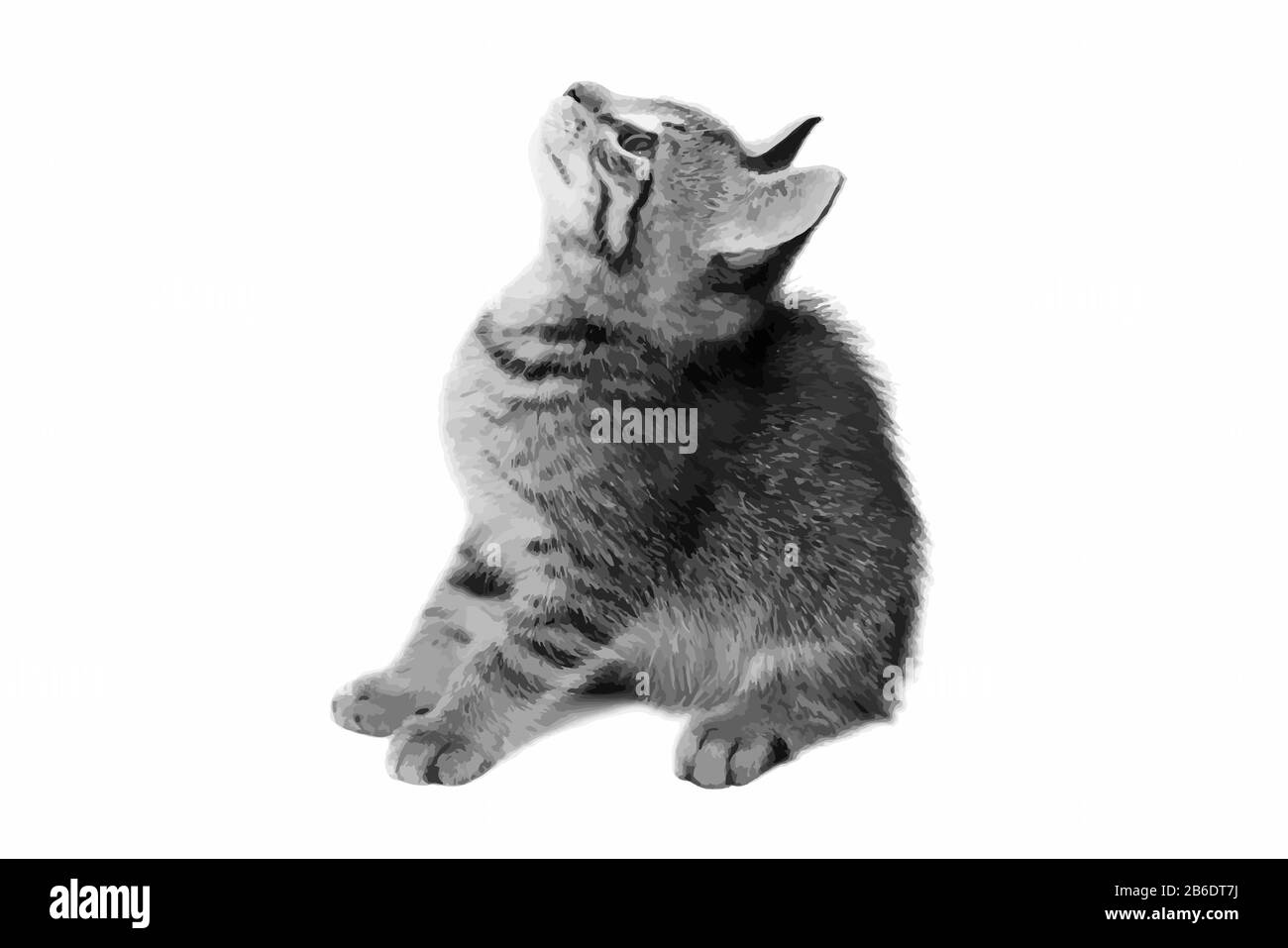 Funny vector black cat Black and White Stock Photos & Images - Alamy
