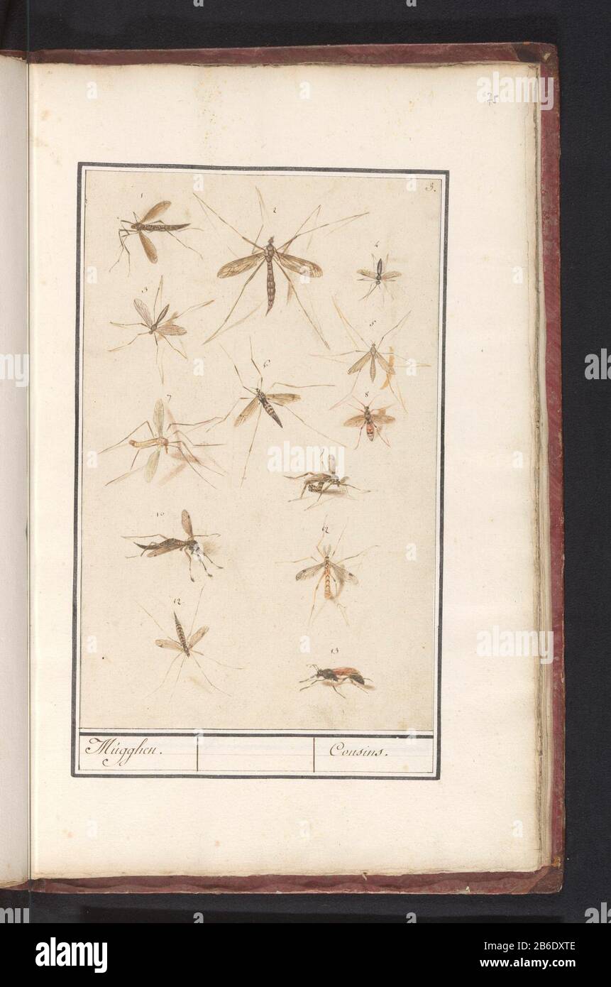 Sheet with thirteen mosquitoes Mugghen Cousins (title object) Sheet ...