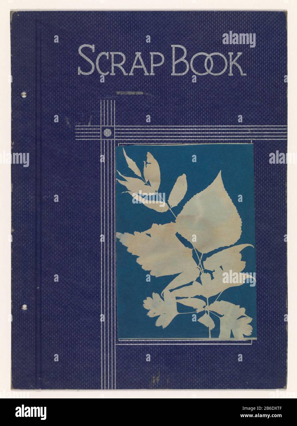 Sheet cyanotype photogram of a sheet of white albeel and the blade ...