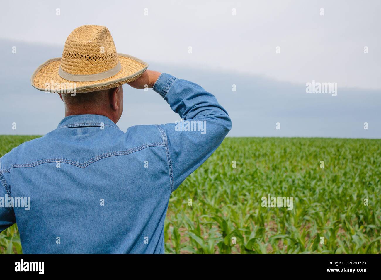 Farmer looking distance hi-res stock photography and images - Alamy