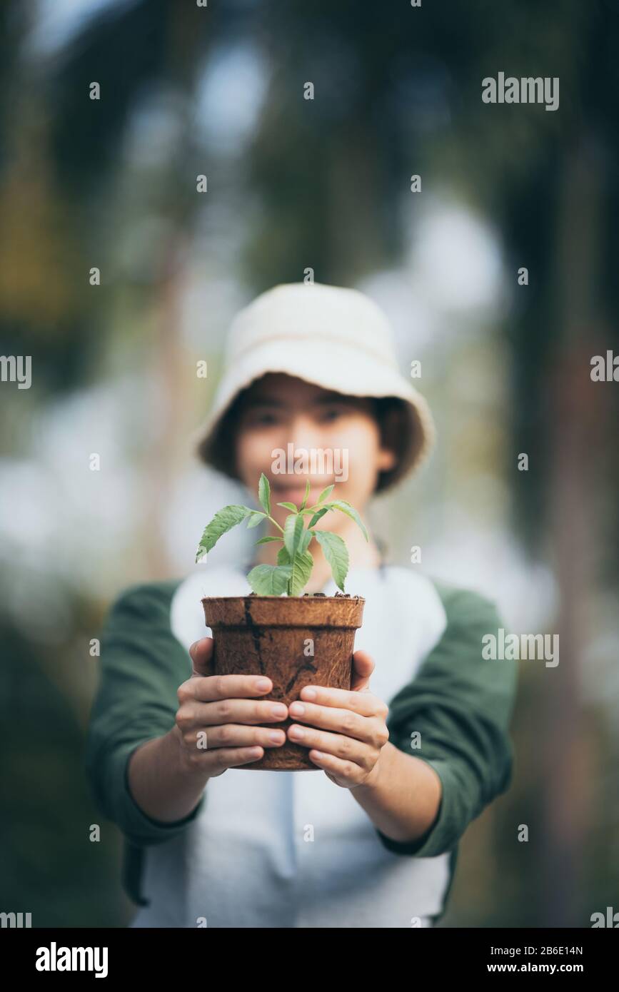 Agriculture. Growing plants. Plant seedling. Hand nurturing young baby ...