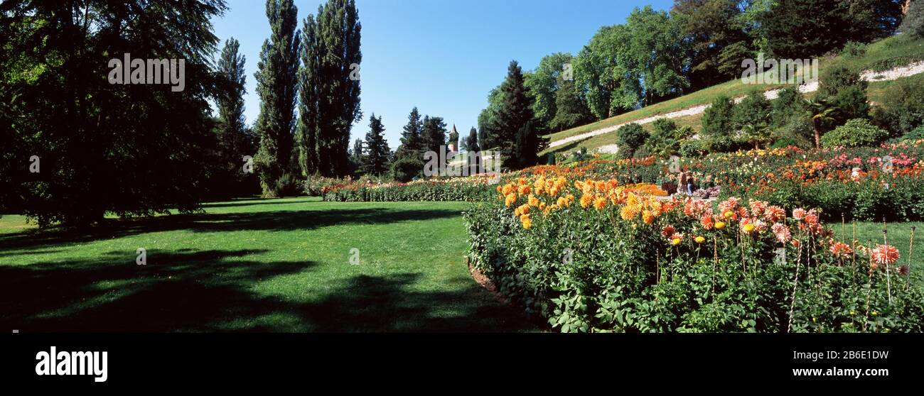 Mainau castle hi-res stock photography and images - Alamy