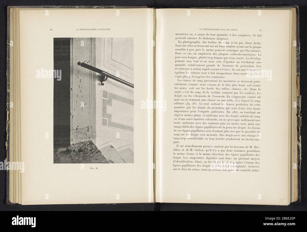 Blood Splashes on a wall above a staircase Blood Splashes on a wall ...