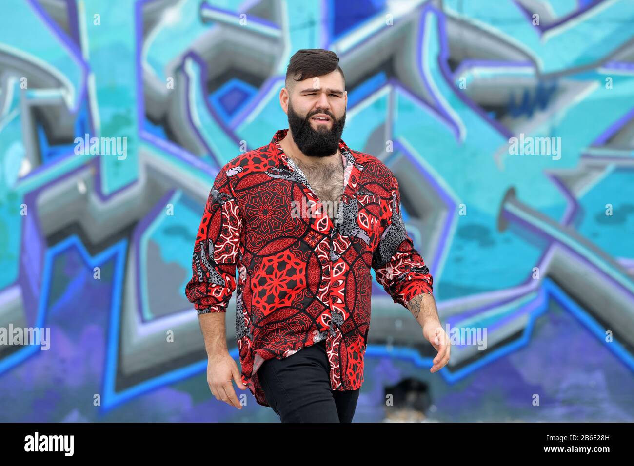 Hollywood idol inside hi-res stock photography and images - Alamy