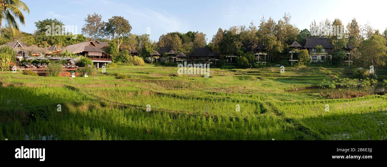 Rice fields in front of villas, Four Seasons Resort, Chiang Mai, Chiang ...