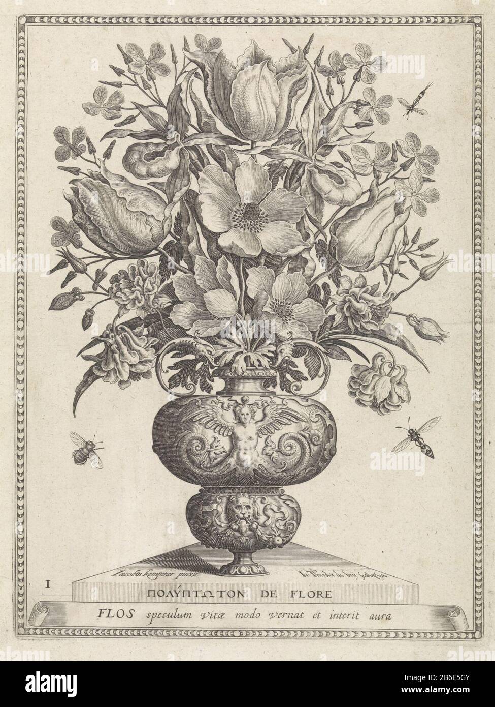 Polyptoton de flore hi-res stock photography and images - Alamy