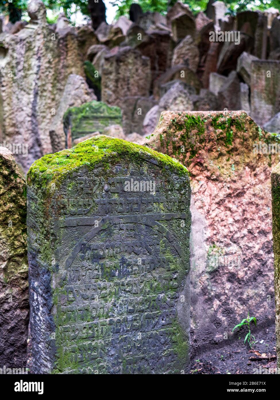 Crowded Tombstones in the old Jewish cemetery, Prague, Czech Republic ...