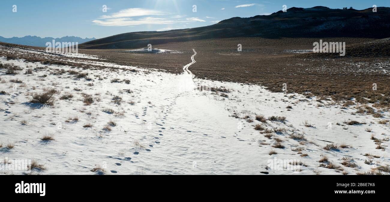 Trail passing through landscape, White Mountains, Bishop, Inyo County ...