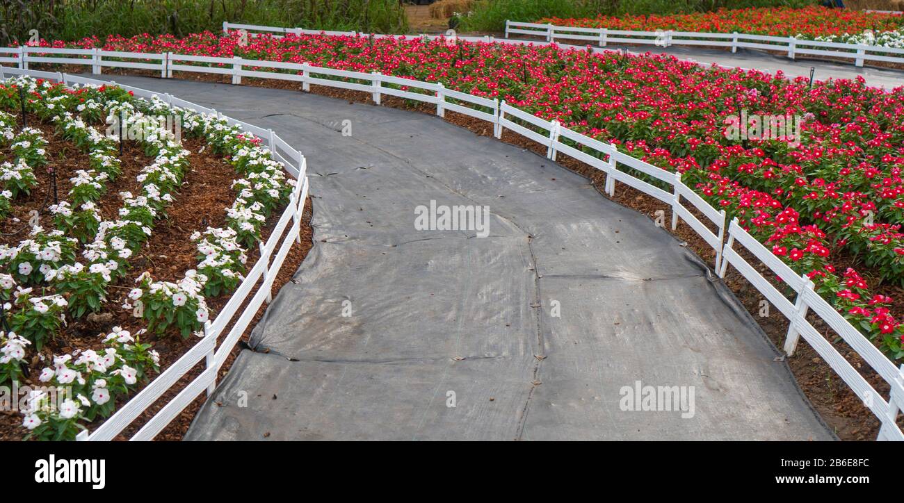 nature way, road to the nature Stock Photo - Alamy