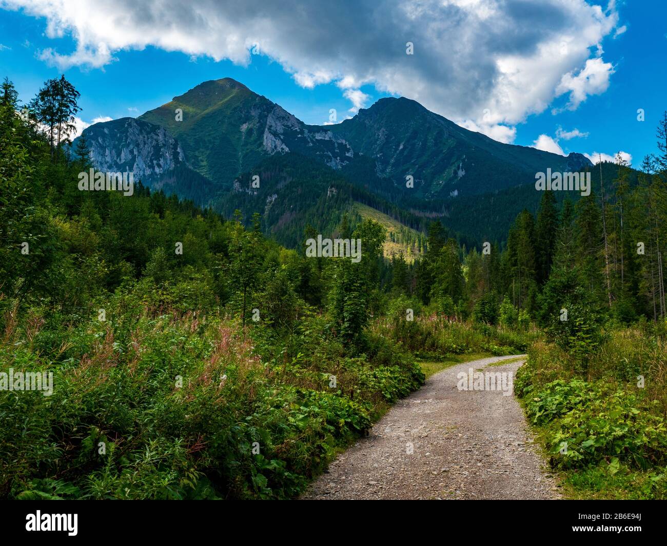 National park the high tatra mountains hi-res stock photography and ...