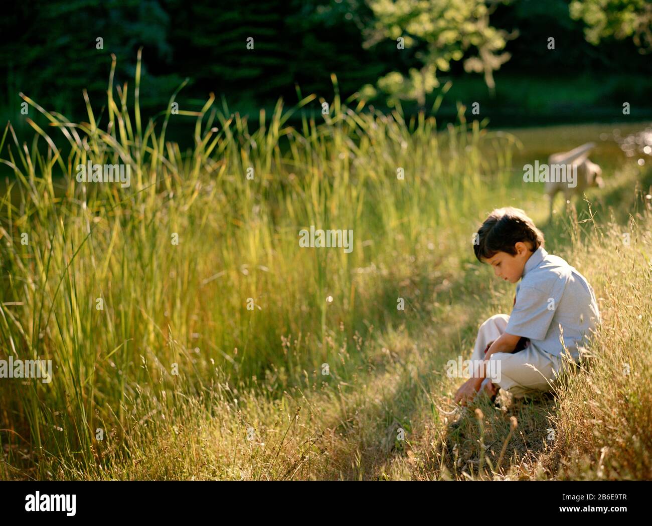 Side view of a boy bent down on a grassy path Stock Photo - Alamy