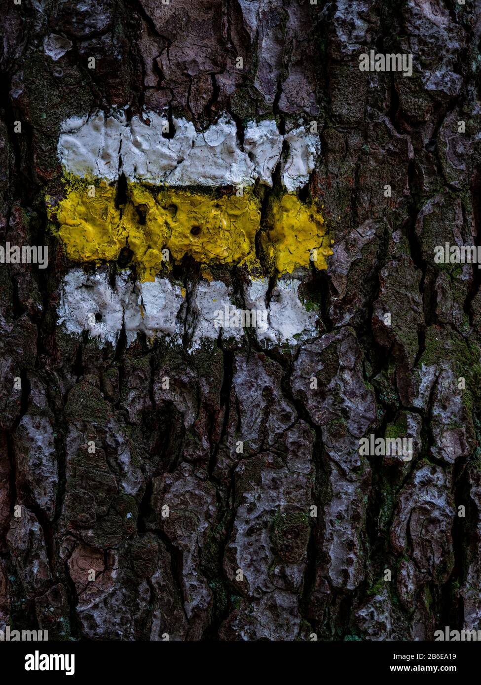 Blaze symbol hi-res stock photography and images - Alamy