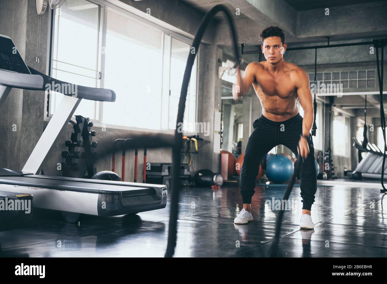 strong man exercising in the sport gym Stock Photo - Alamy