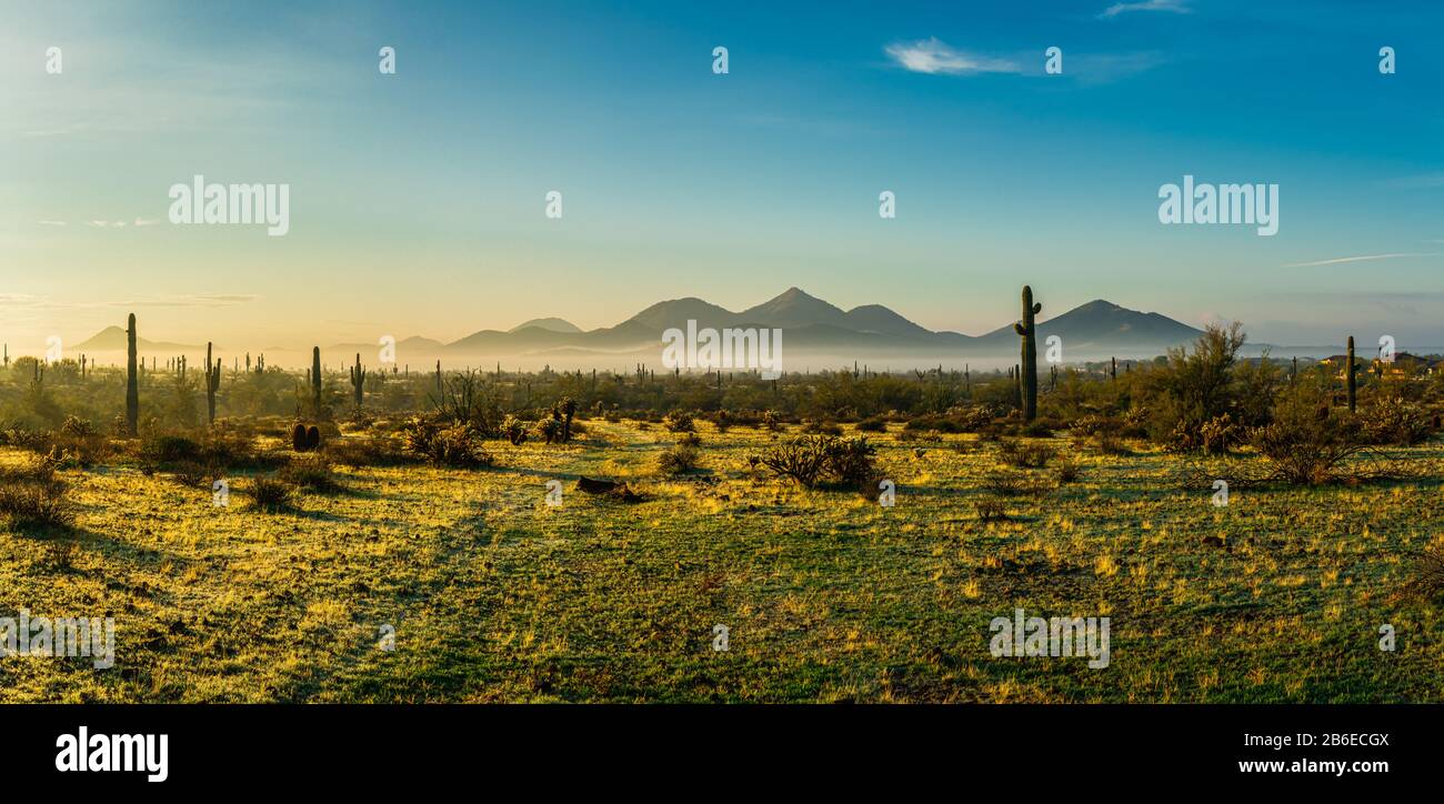 Panorama of a rare morning fog in the Phoenix Sonoran Desert Preserve ...