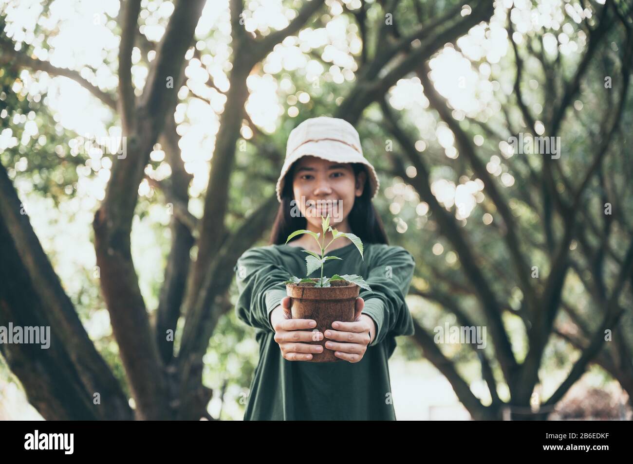 Image of an Asian woman In the concept of planting trees for the ...