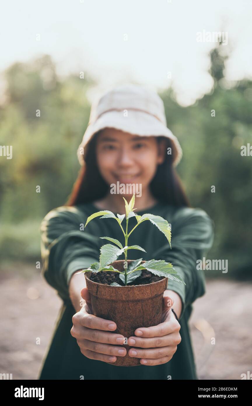 Agriculture. Growing plants. Plant seedling. Hand nurturing young baby ...