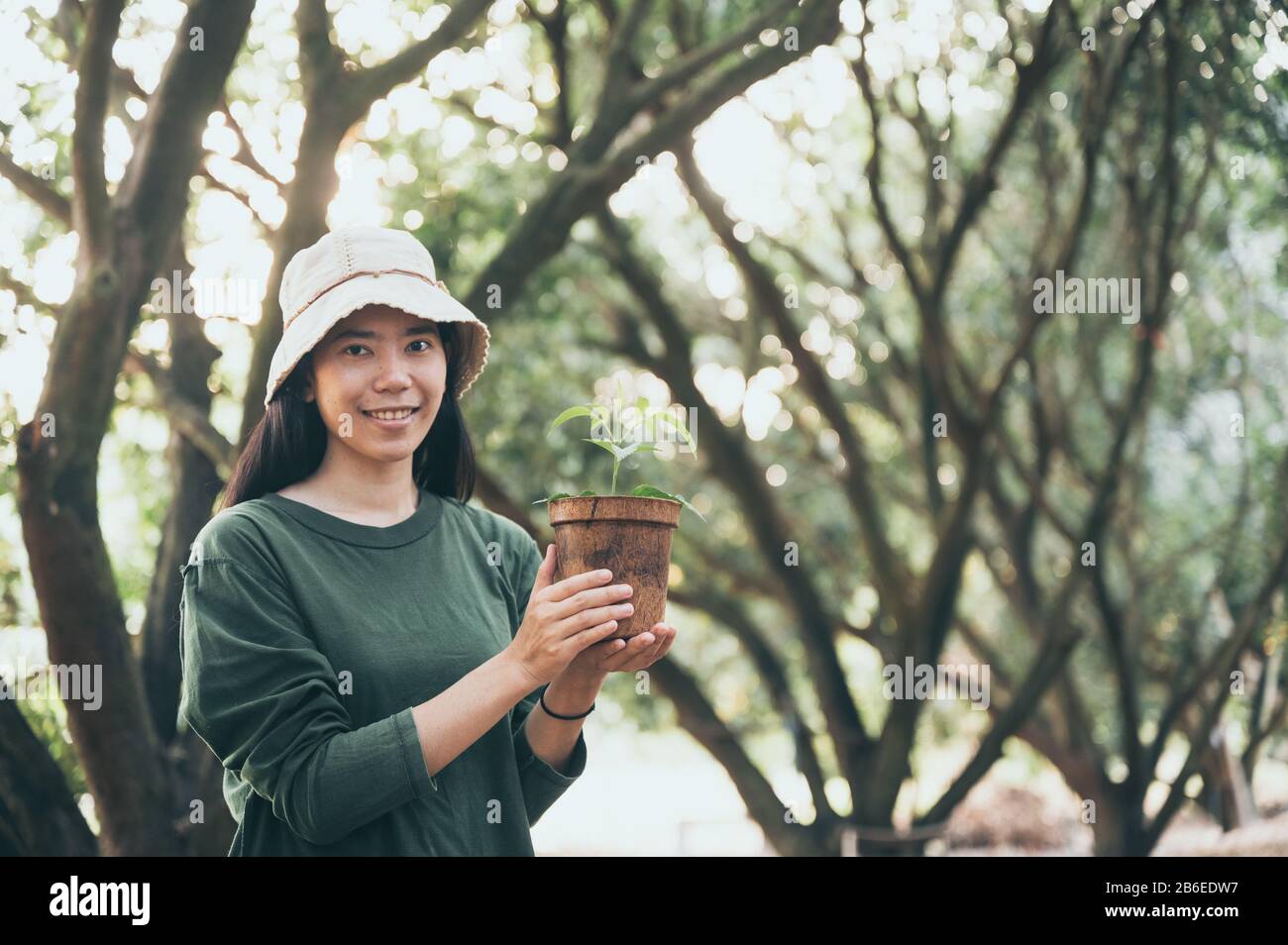 Image of an Asian woman In the concept of planting trees for the ...