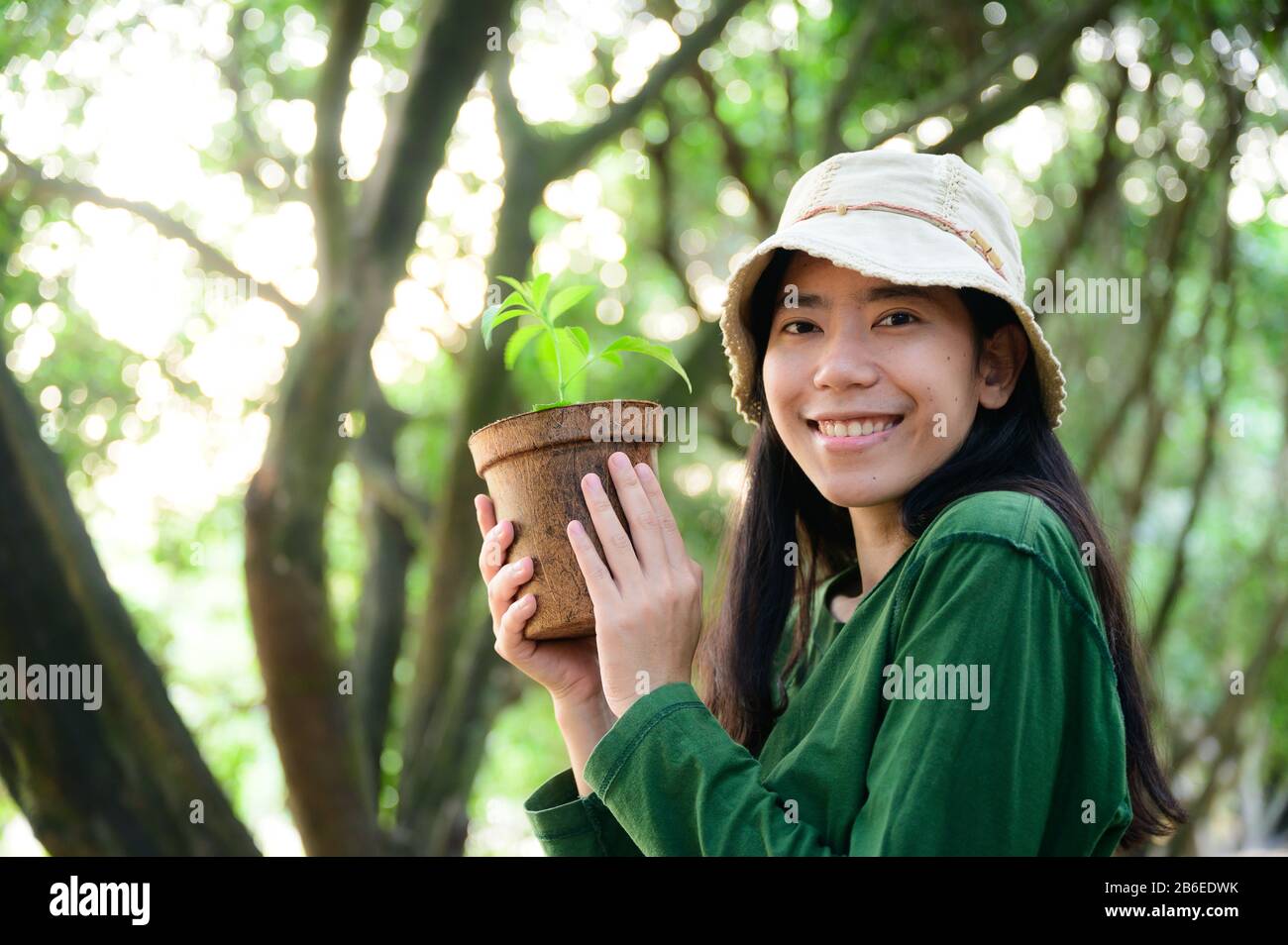 Image of an Asian woman In the concept of planting trees for the ...
