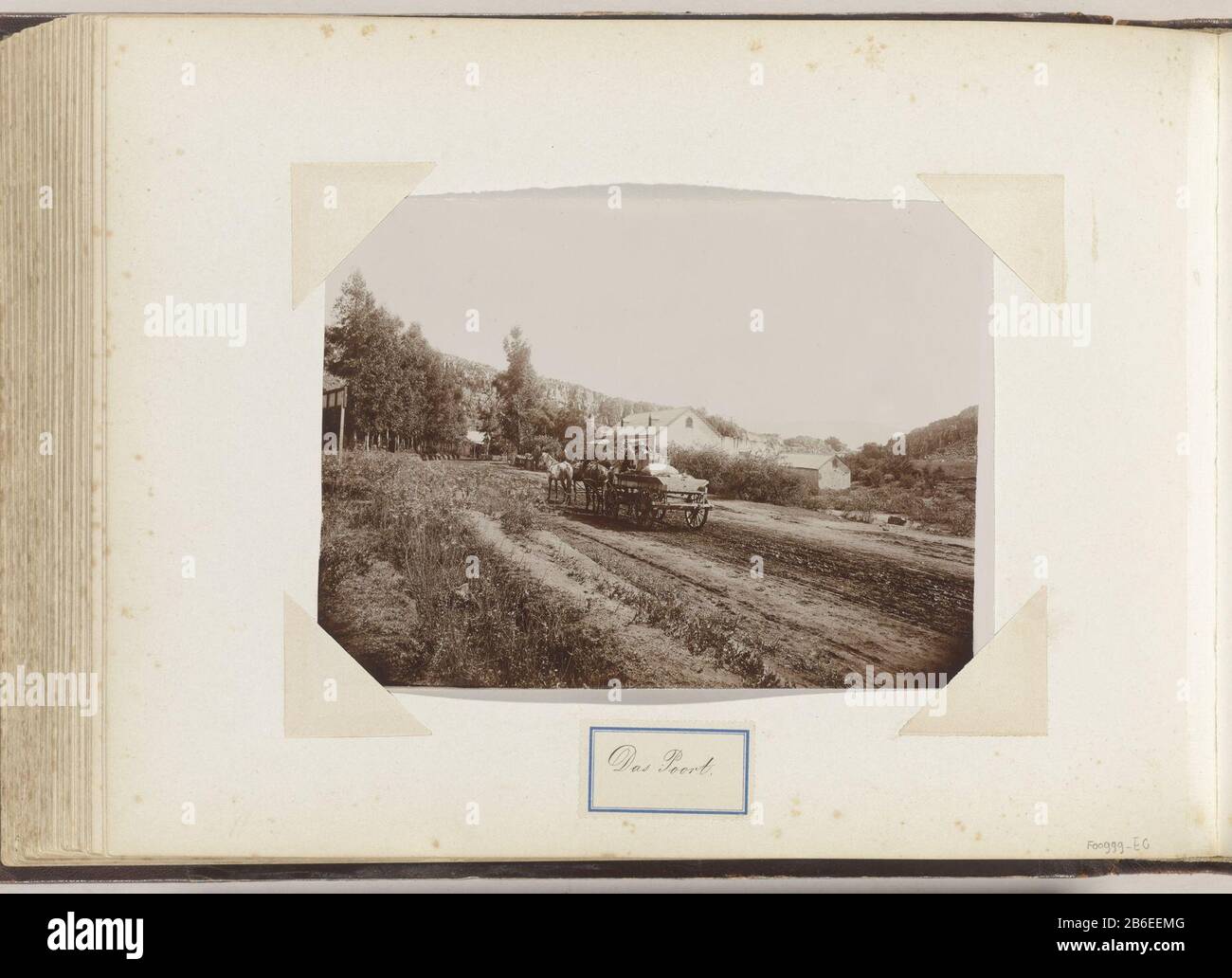 Farmers on horse and wagon on a field at Das port in South Africa Das ...
