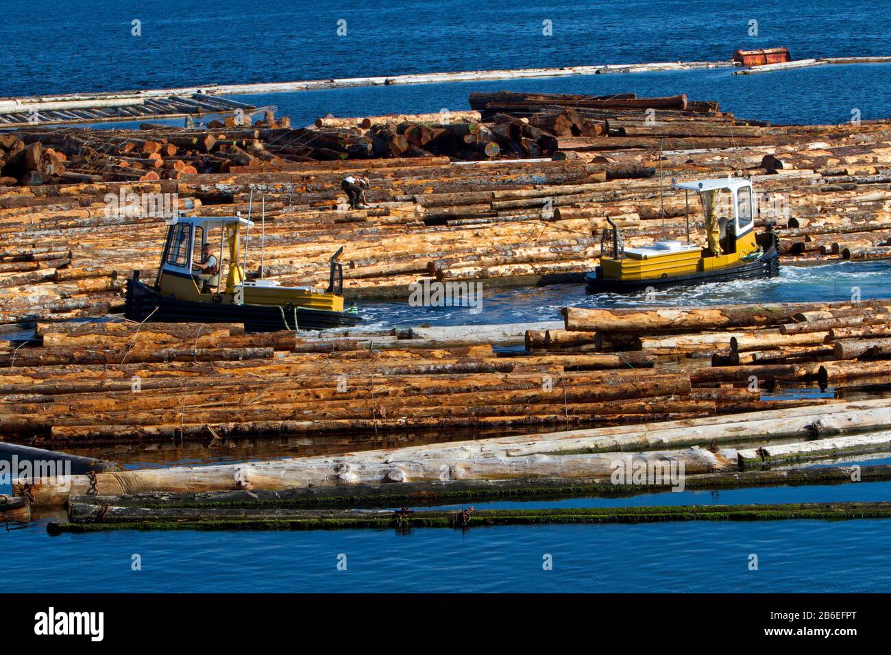 Harbour Lumber Timber Trade High Resolution Stock Photography and Images - Alamy