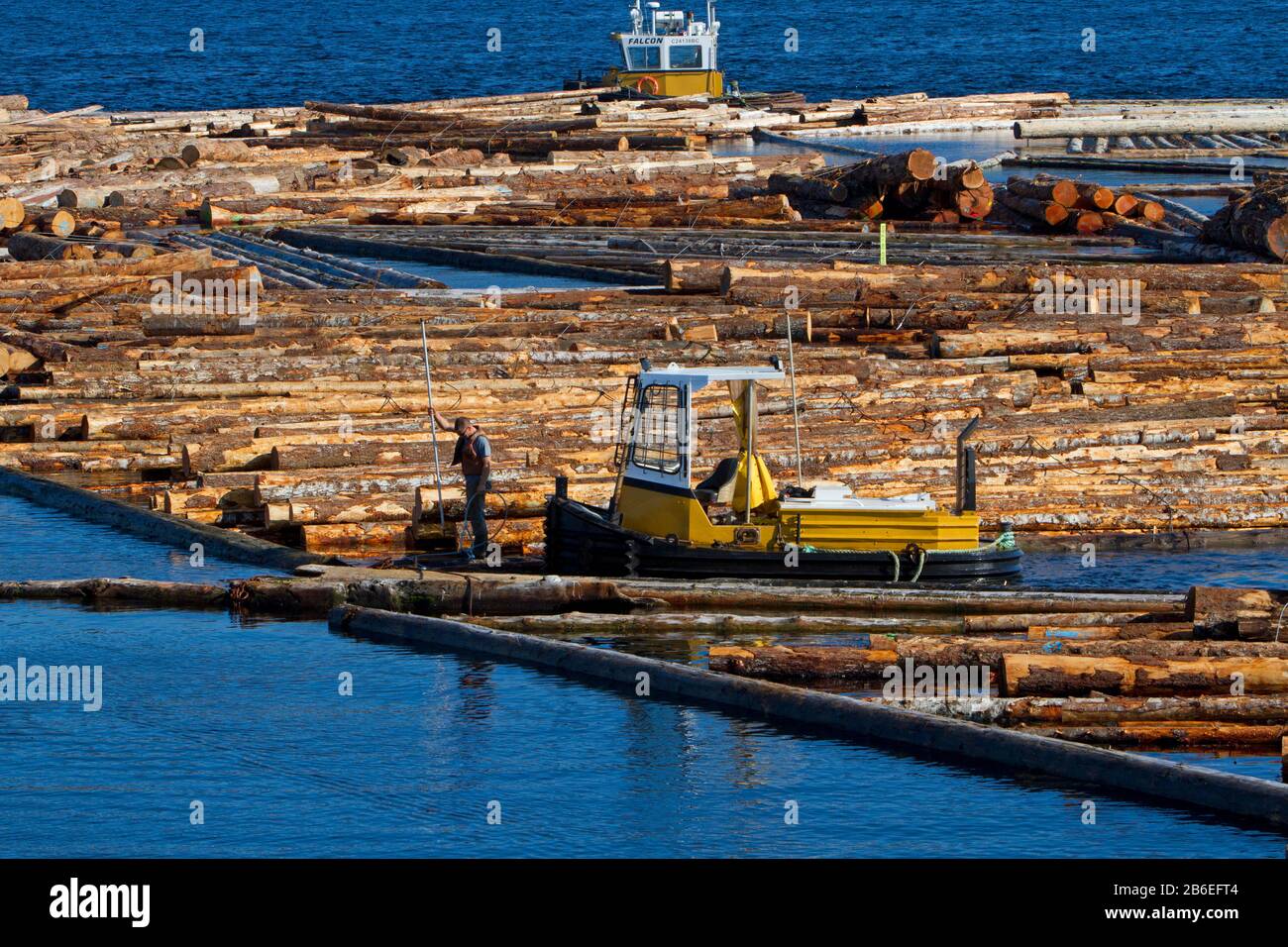 Boom boats working with log booms near Harmac Pacific Pulp Mill ...
