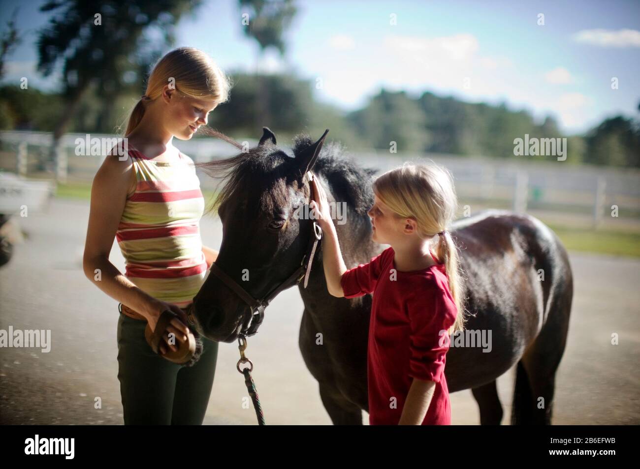Teenage girl and her sister grooming a pony outside Stock Photo - Alamy