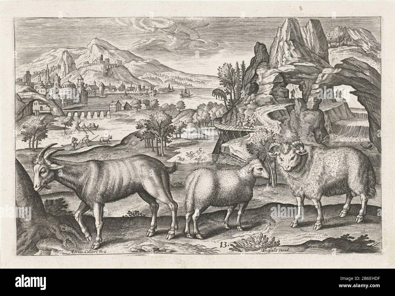 Four legged animals hi-res stock photography and images - Alamy