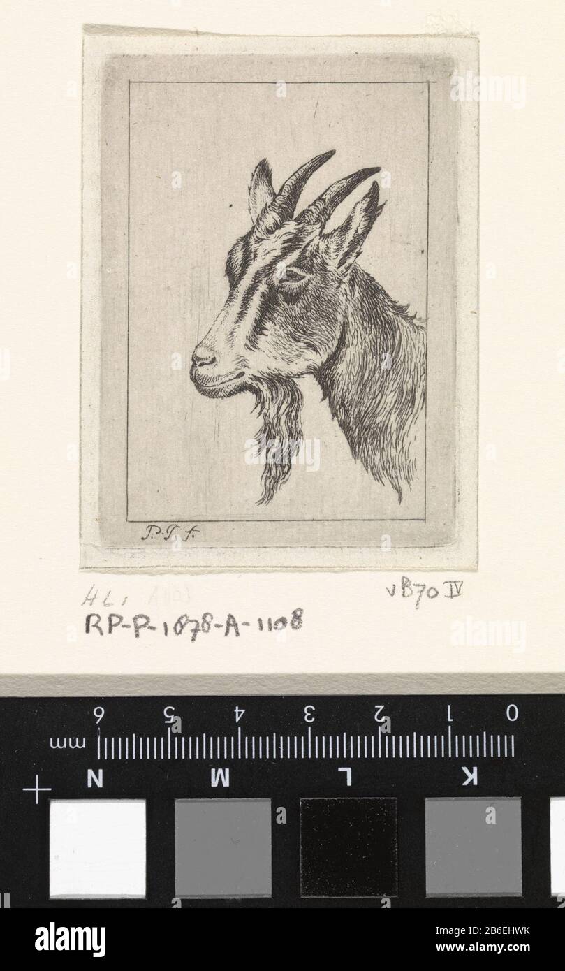 Bokkenkop Kop van een bok naar links. Afdruk van de bovenste helft van ...