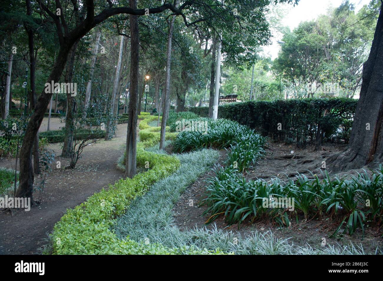 Green grasses planted in curved shapes inside the sunken park in Mexico ...
