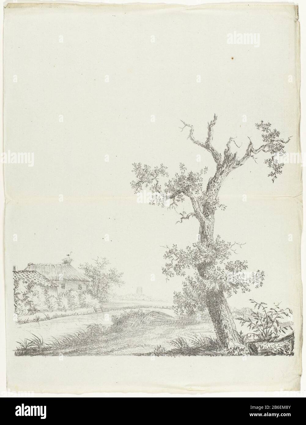 Tree in landscape A tree in a landscape left a house along the water ...