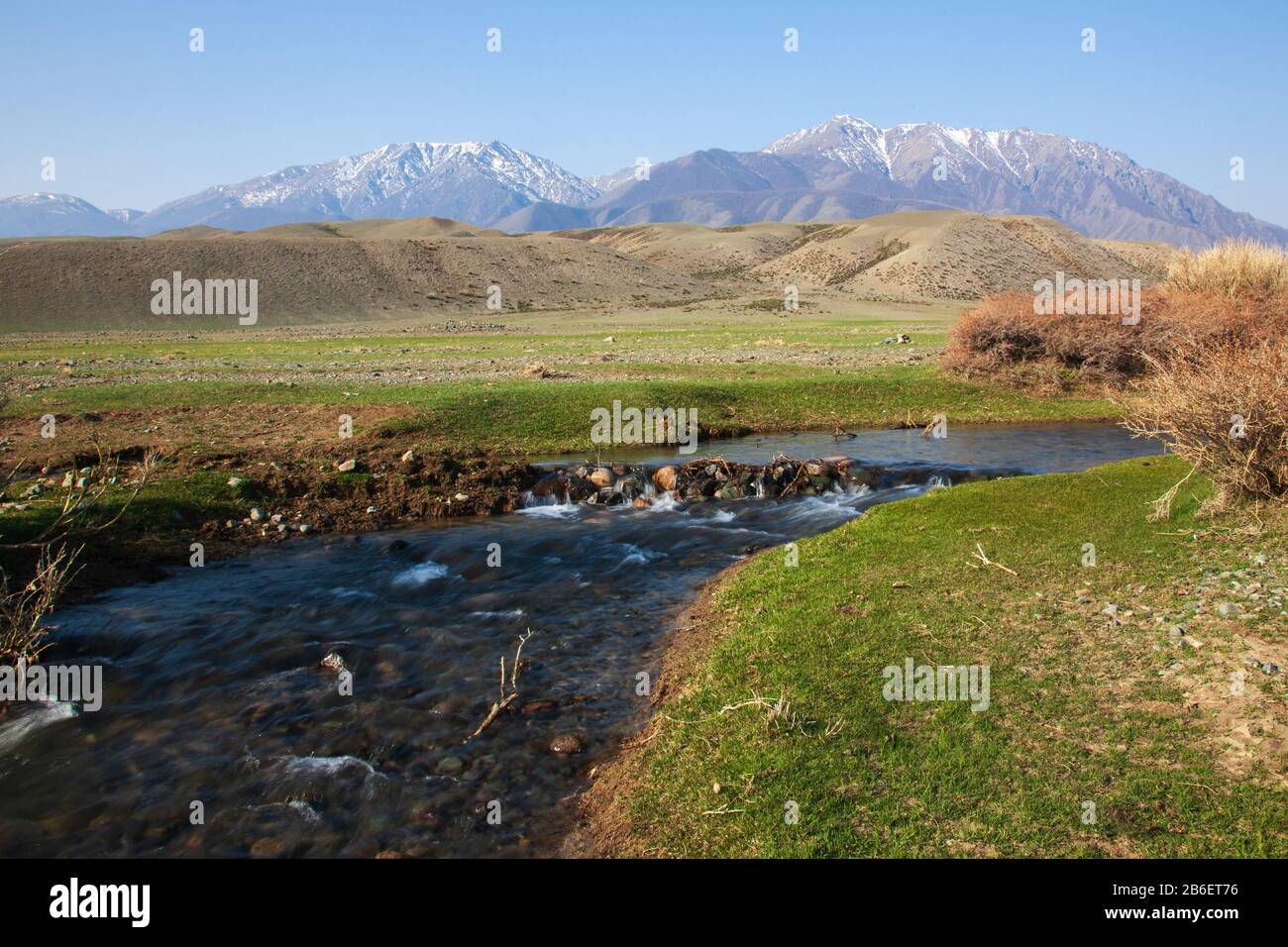 Mogolia hi-res stock photography and images - Alamy