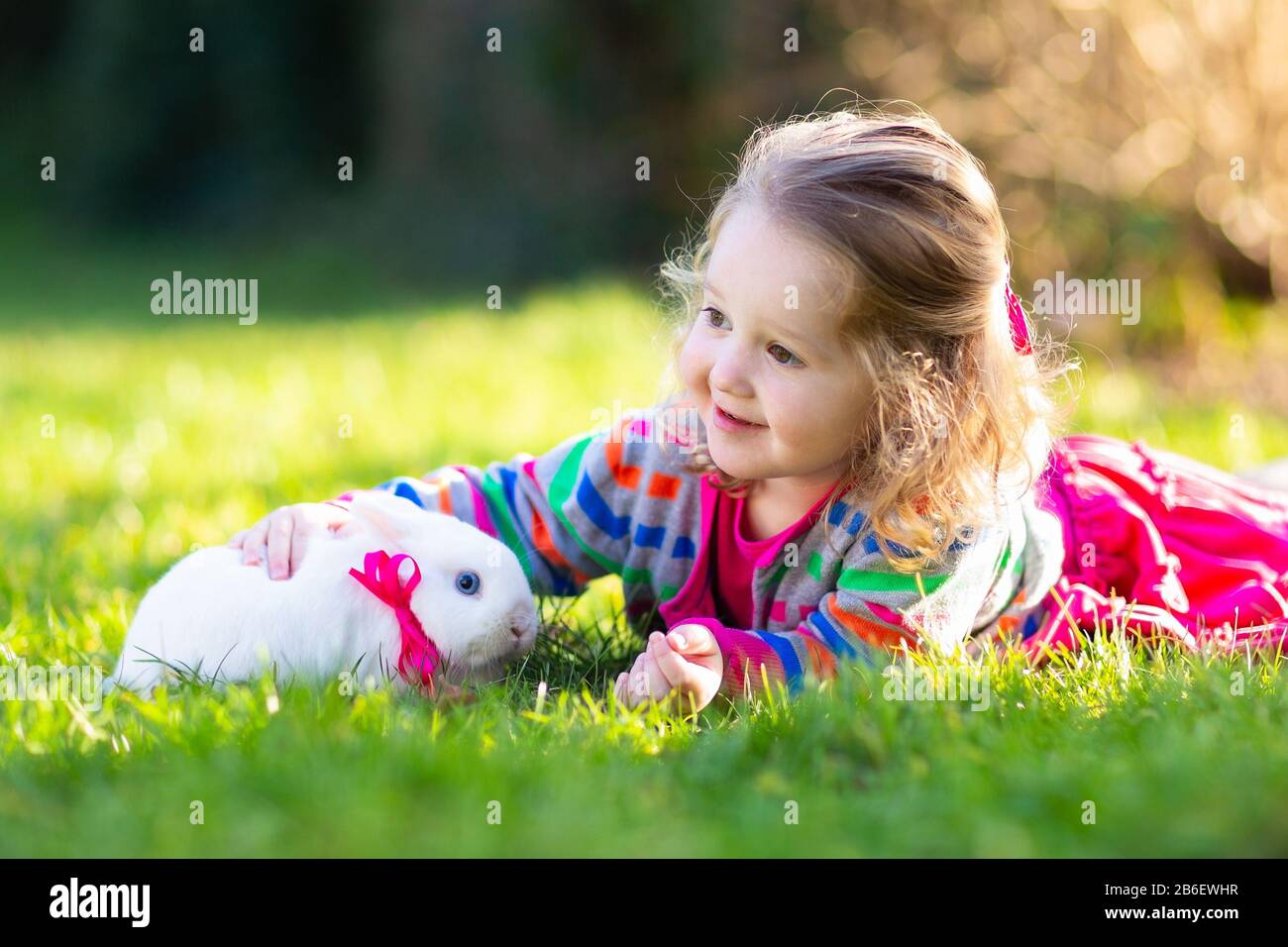 Child playing with white rabbit. Little girl feeding and petting white ...
