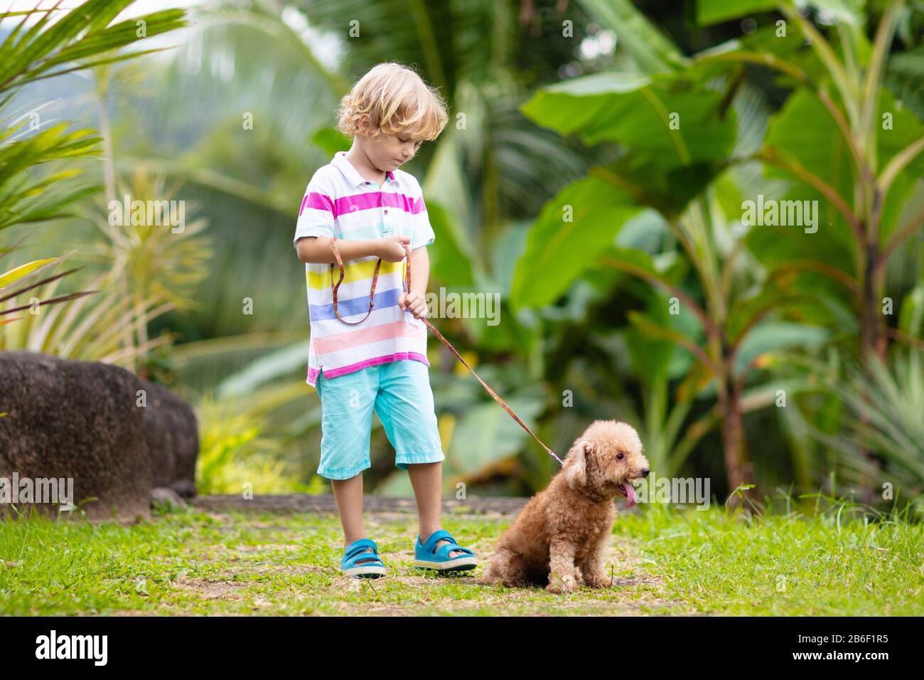 Kids play with cute little puppy. Children and baby dog playing in ...