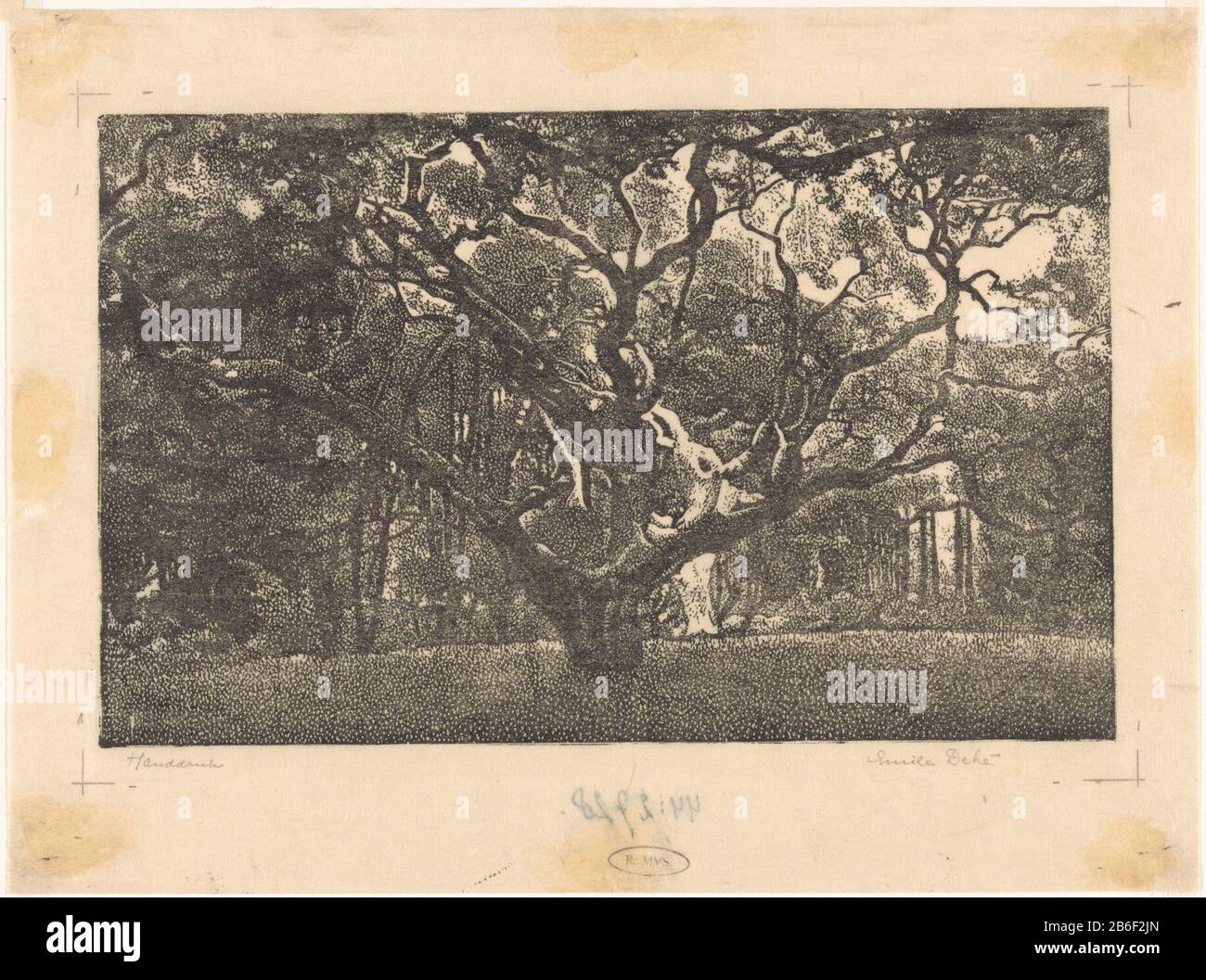 Emilius wilhelmus dehe hi-res stock photography and images - Alamy