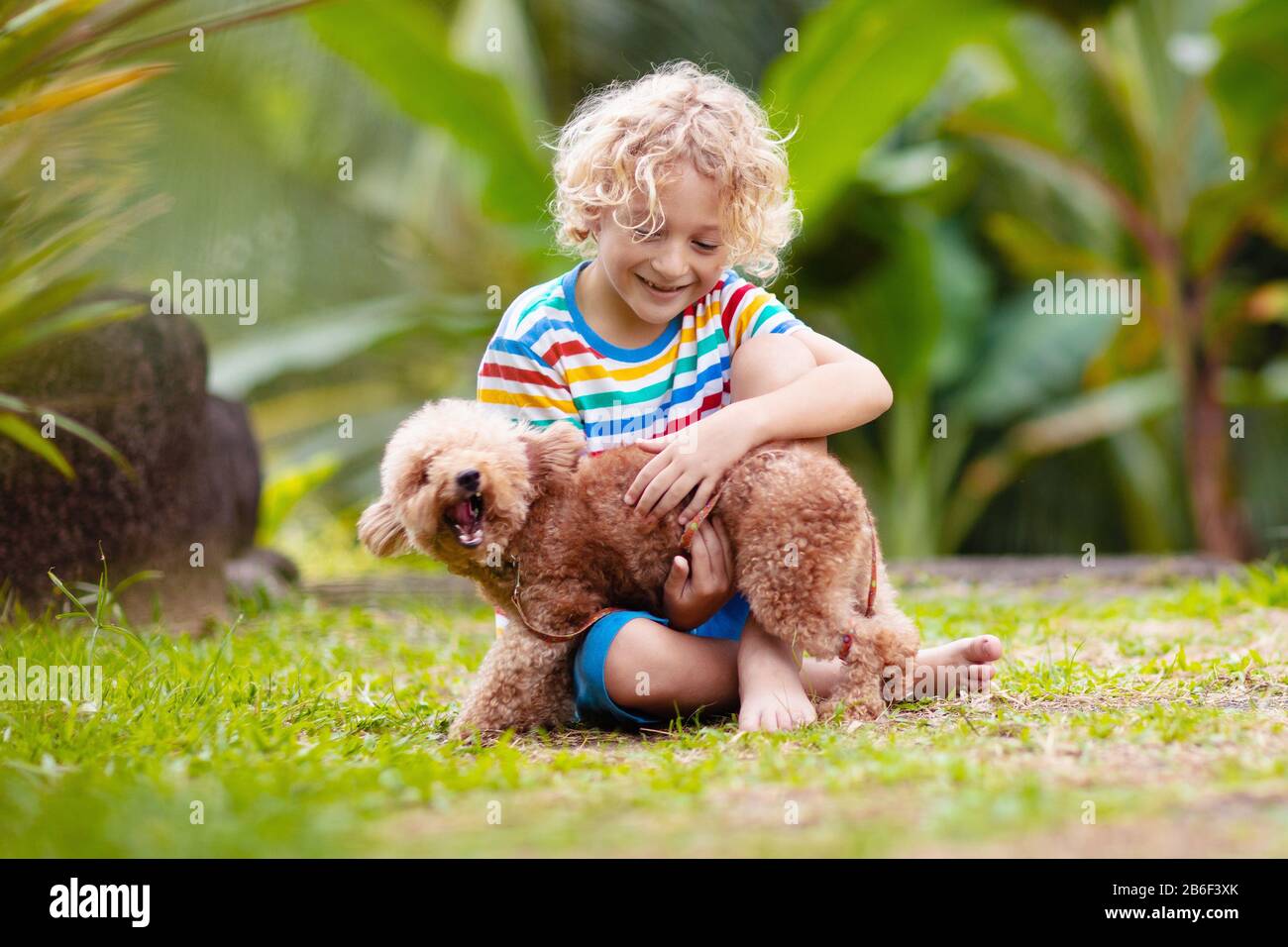 Cute Little Baby Puppies