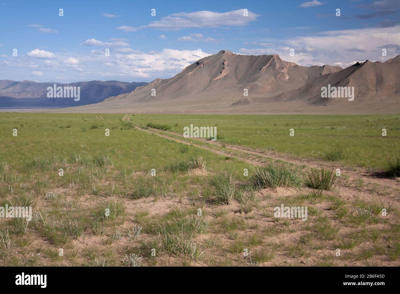 The landscape of the mongolian steppe Stock Photo - Alamy