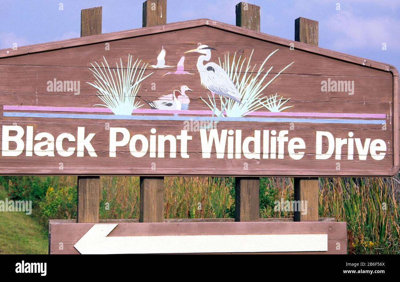 Heron point sign hi-res stock photography and images - Alamy