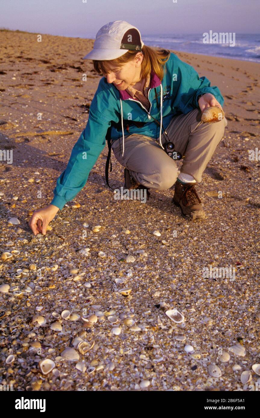 Shell-collecting on Klondike Beach, Canaveral National Seashore ...