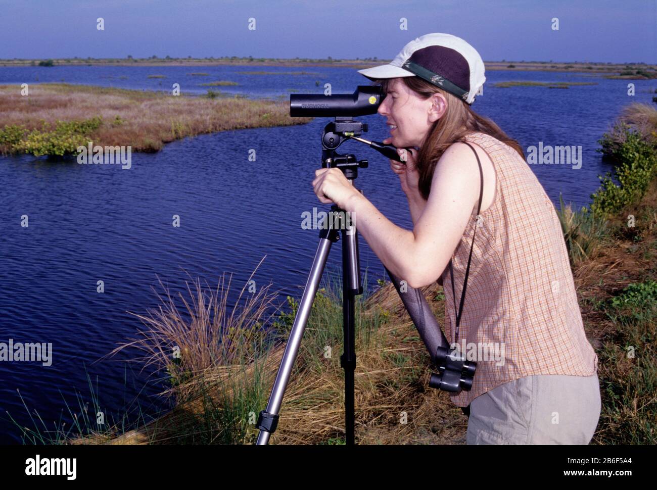 Birdwatching along Black Point Wildlife Drive, Merritt Island National ...