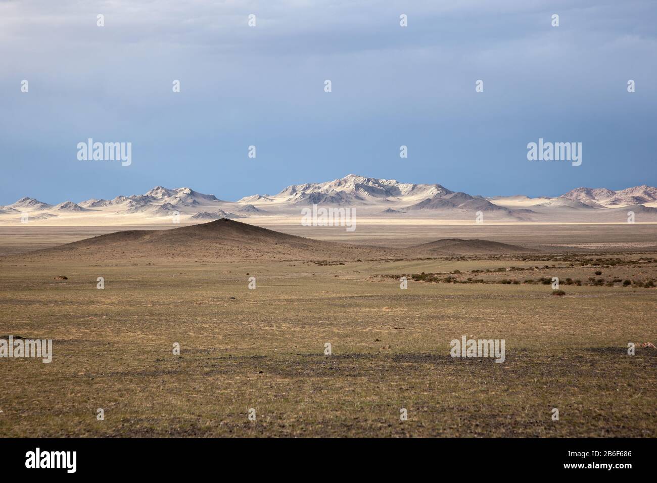 The landscape of the mongolian steppe Stock Photo - Alamy