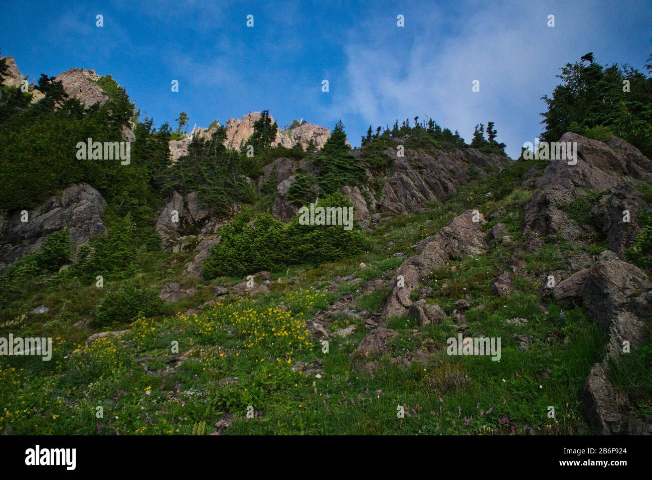 Ellinor hi-res stock photography and images - Alamy